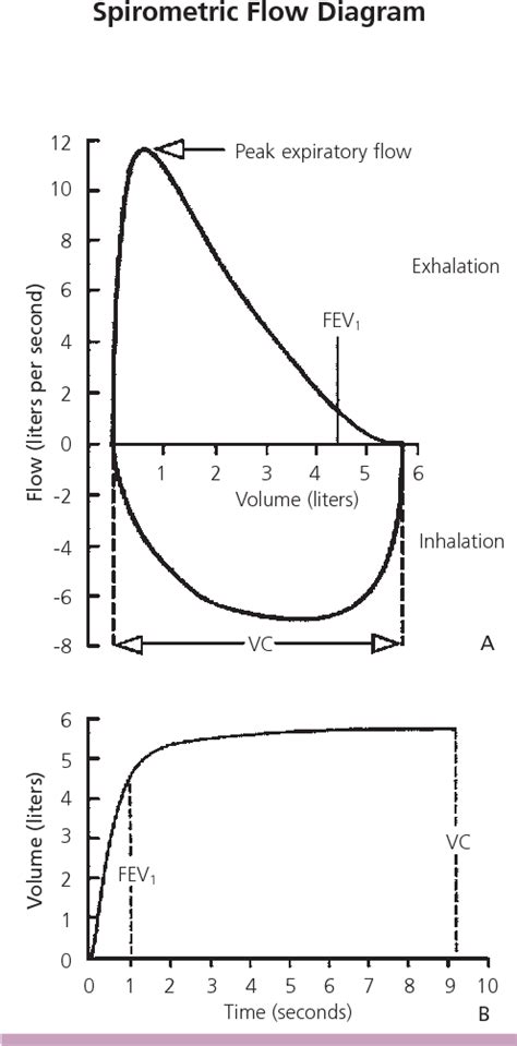 [pdf] An Approach To Interpreting Spirometry Semantic Scholar