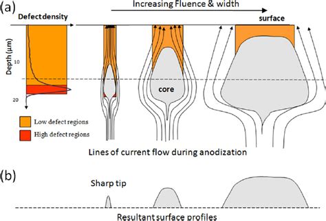 A Schematic Of The Electrochemical Anodization Process Where Download Scientific Diagram