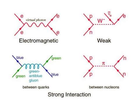 Feynman Diagrams Explained