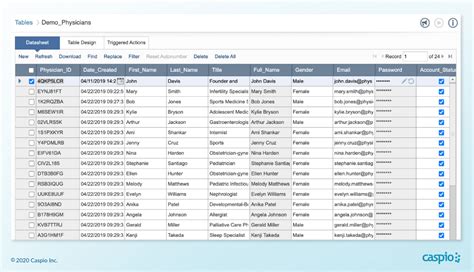 Maintain Data Integrity With Consistent Data Types Using Caspios