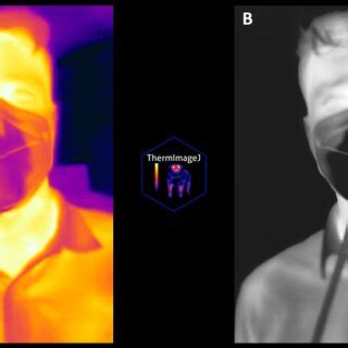 Processing Of FLIR Image To Thermal Using ImageJ Download Scientific Diagram