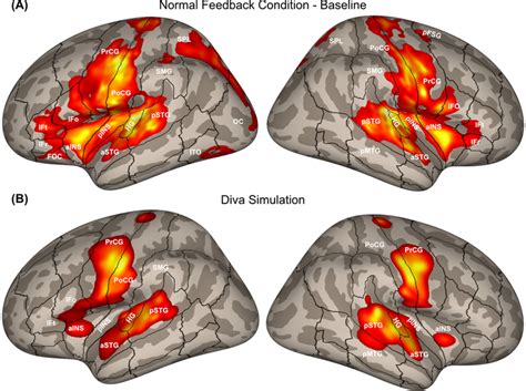 Articulating The Neural Mechanisms Of Speech Production PMC