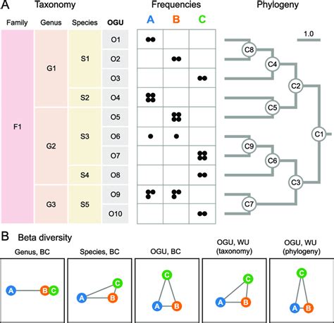 Feature Resolution Impacts Community Ecology Analysis In Small Download Scientific Diagram