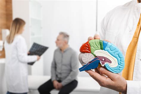 신경학 개념적 이미지 병원에서 고령 환자와의 신경과 의사 상담의 전경에 구조를 가진 인간 뇌의 해부학적 모델 3 명에 대한 스톡 사진 및 기타 이미지 Istock