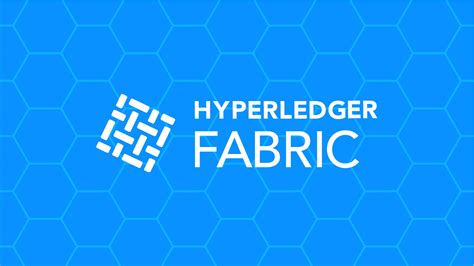 The Essential Introduction To Hyperledger Fabric By August Radjoe Thecryptoelement Medium
