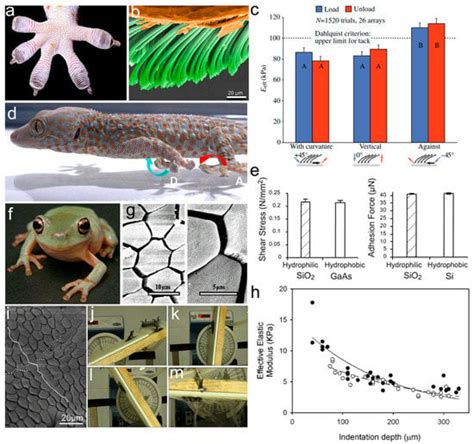 Biomimetics September 2017 Browse Articles