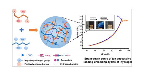 Preparation And Properties Of Self Cross Linking Hydrogels Based On