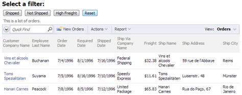 Code On Time User Controls Custom Filter Panel