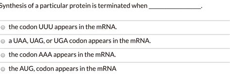 solved synthesis of a particular protein is terminated when the codon