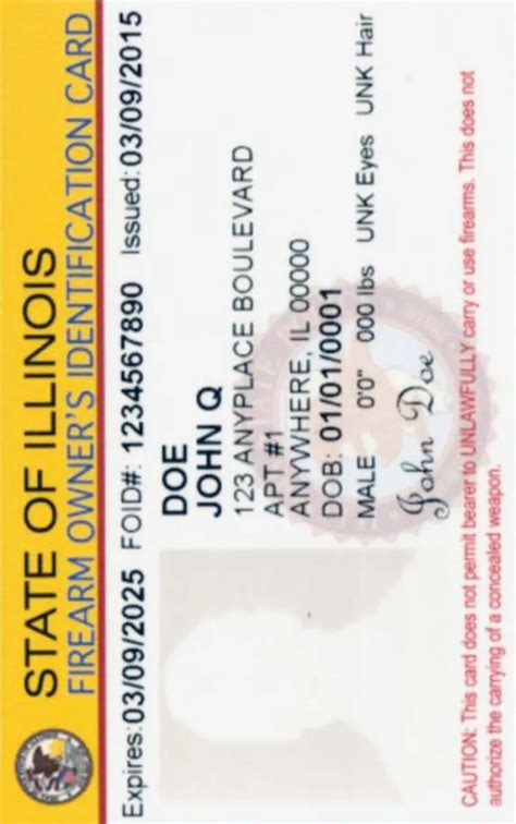 Get A Digital Passport Photo Online Now Where And How