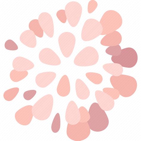 Neuroectoderm Cells Nervous Embryo Development Icon Download On