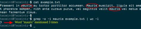 How To Count Word Occurrences In A Text File