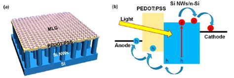 Pedot Pss Si Hybrid Cells A Conventional B Metal Electrodes C Download Scientific
