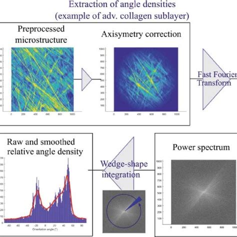 Fast Fourier Transform Approach Flowchart And Illustration Of The Download Scientific Diagram