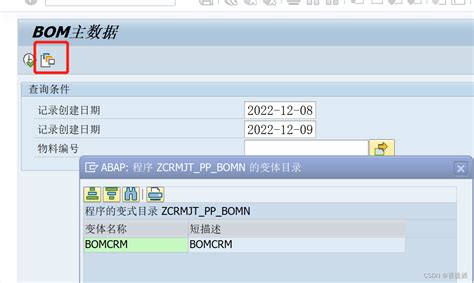 Sap R3系统动态日期变式保存sap变式动态时间设置 Csdn博客