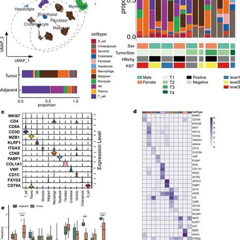 Single Cell Profiling Of Immune Cells From Tumor And Adjacent Tissues Download Scientific