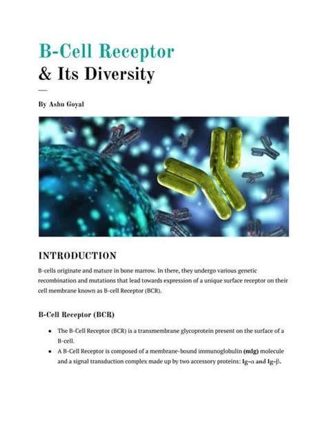 B Cell Receptor Finalpptx