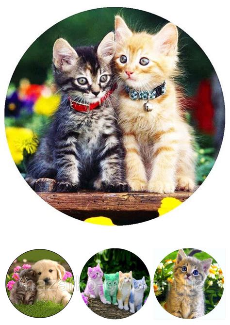 Вафельная картинка Котики 4 цена 40 грн — Prom Ua Id 1037151537