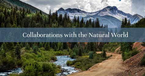 Nature Based Intervention Training 5 Day Experiential Ecotherapy