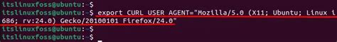 How To Set User Agent In Curl Its Linux FOSS