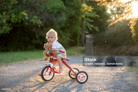 귀여운 유아 아이 소년 일몰에 뒷마당에서 세 발 자전거와 함께 연주 빨강에 대한 스톡 사진 및 기타 이미지 빨강 세발자전거
