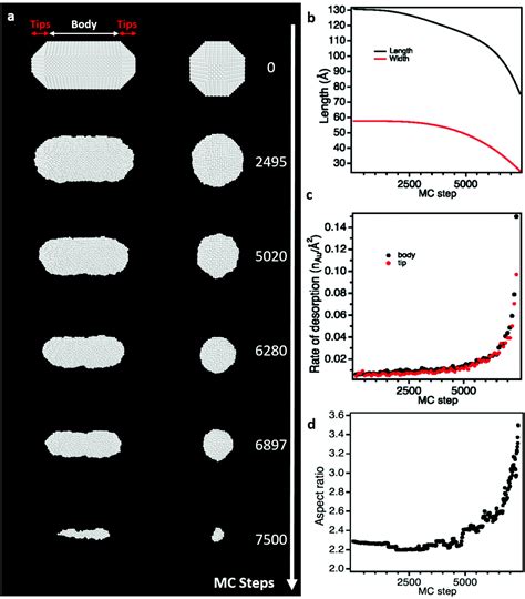Selective Shortening Of Gold Nanorods When Surface Functionalization