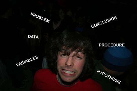 Human Evolution And Diversity Hypothesis Testing Flashcards Quizlet