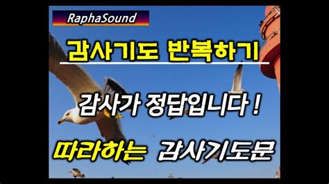 감사기도 감사가 정답입니다 따라하는 감사기도문 무한감사 감사기도 반복 쉴때잠잘때듣는 감사기도 운전할때 듣는 기도잠자며듣는 감사기도 Youtube