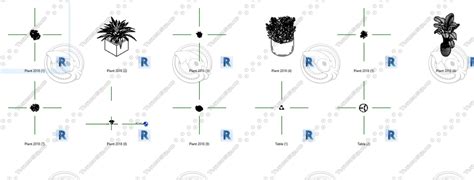 Tree Revit Model TurboSquid 1264152
