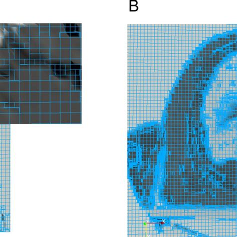 Illustration Of The Nonuniform Adaptive Meshes Generated From The