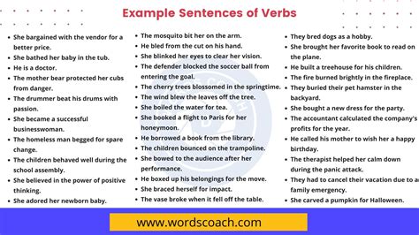 50 Example Sentences Of Verbs Word Coach