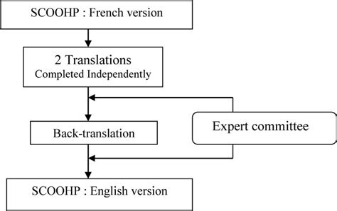 Flow Chart Of The Translation Validation Process Download Scientific
