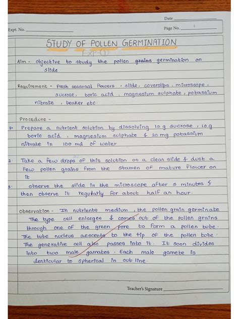 Class 12 Bio Practical 2024 25 Pdf