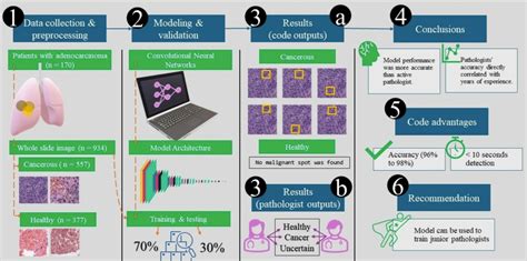 Development And Validation Of A Deep Learning Model For