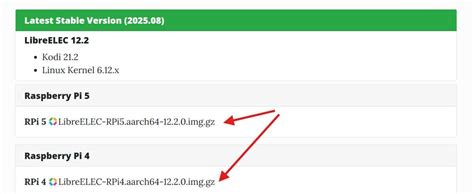 Installation De Libreelec Sur Raspberry Pi Guide Complet Raspberrytips