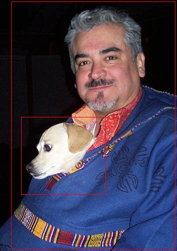 Too Many Detections In A Image Issue Amdegroot Ssd Pytorch Github