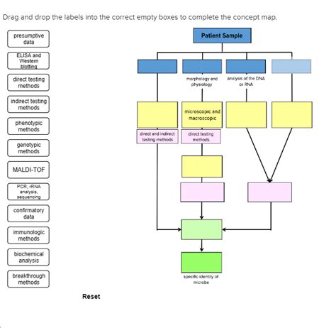Solved Drag And Drop The Labels Into The Correct Empty Boxes