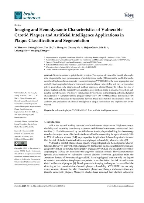 Pdf Imaging And Hemodynamic Characteristics Of Vulnerable Carotid Plaques And Artificial