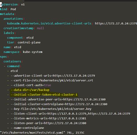 troubleshooting kodekloud bootstrapping etcd error a professional s