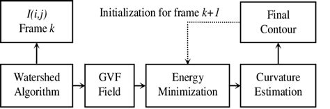 Proposed Active Contour Segmentation Framework The Topology Of The Download Scientific Diagram