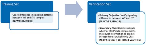 Study Design Diagram Influence Of FLT ITD Mutation Status On Download Scientific Diagram