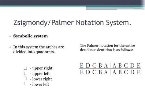 Tooth Numbering System Ppt Download
