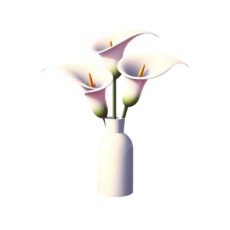 Three White Calla Lilies In A Vase With Pink And Red Background Against