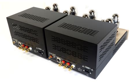 Canary Audio M250 Monoblock Amplifiers Eligo Audio Culture