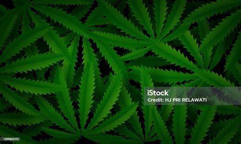 Ilustración De Fondo De Marihuana O Hoja De Cannabis Y Más Vectores