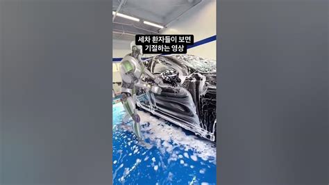 세차 환자들이 보면 기절하는 영상 길들이기 세차벙 Youtube