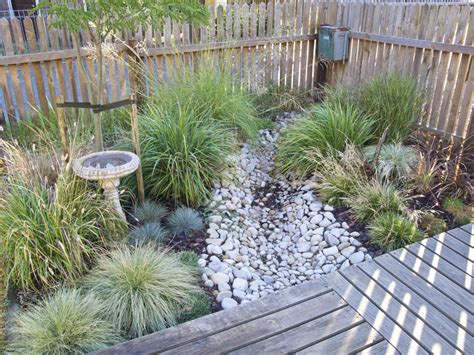 Grass Feature Patch Preview The Gardening Blog