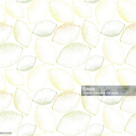 레몬 스케치 패턴입니다 흰색 원활한 배경에 손으로 노란색 레몬을 그린 감귤류 과일에 대한 스톡 벡터 아트 및 기타 이미지 감귤류 과일 과일 그리기 Istock