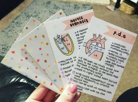 Diy Flashcards For Studying At George Chavez Blog