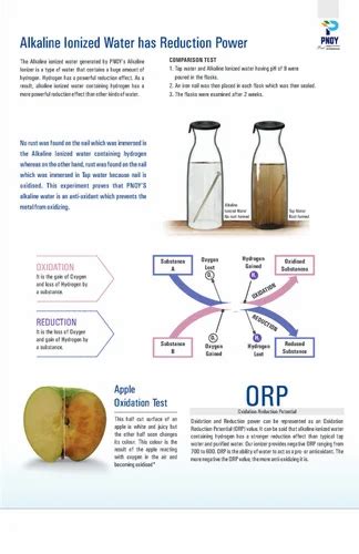 100 Lph 10000 Body Detoxifying Machine For Household At Rs 231000 In